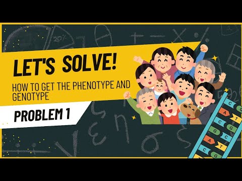 How Punnett Squares Reveal an Offspring's Possible Genotypes ...