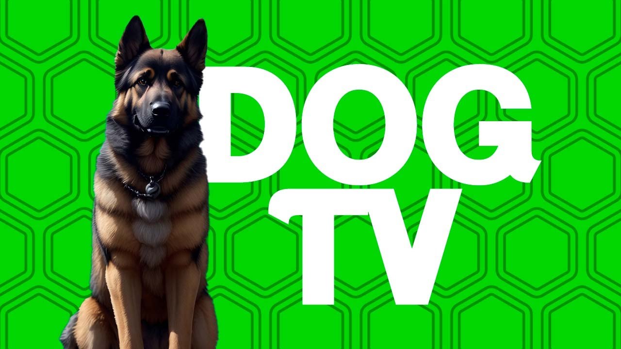 DOG TV - 20 Hours of Entertainment For Your Dog! - Petflix 2023 - YouTube