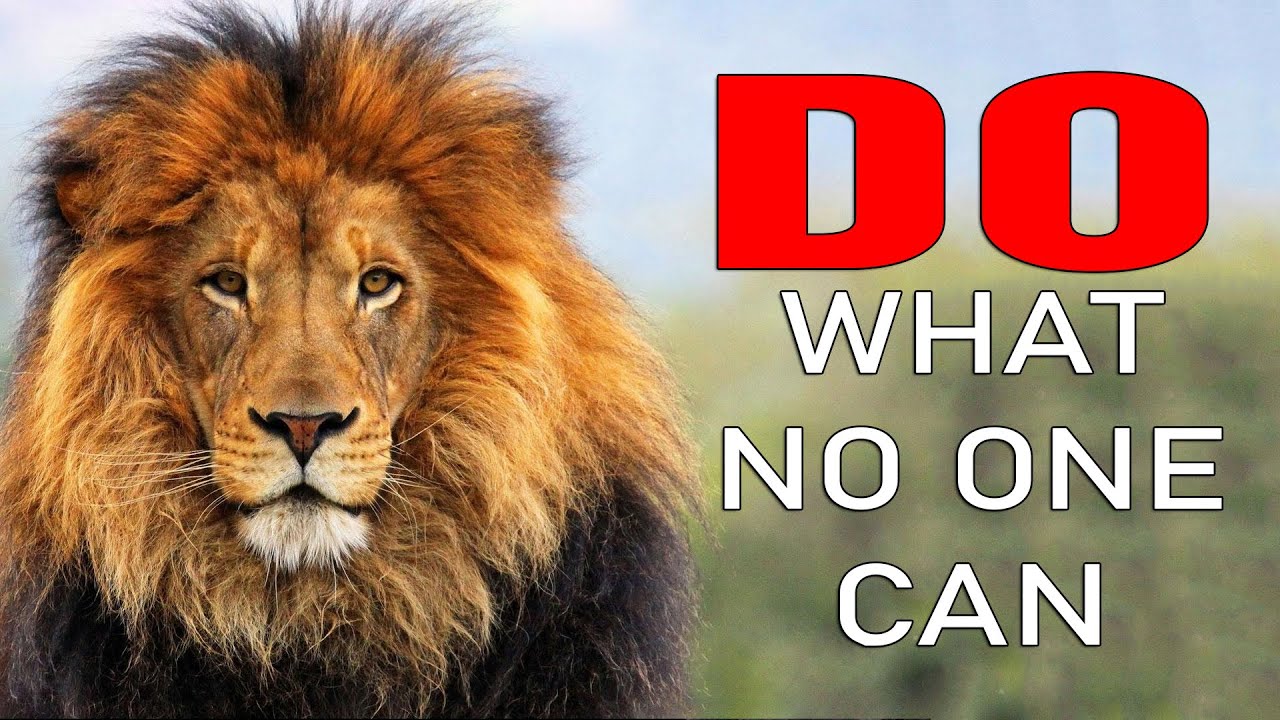 DO WHAT NO ONE CAN -Inspirational Motivational Speech | Jim Rohn ,Les ...