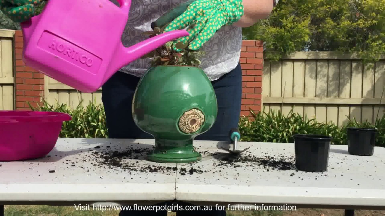 Step 4 Final Downunder Pot by Down Under Pots - YouTube