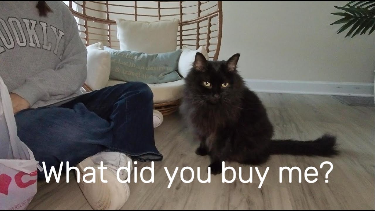 Shopping Haul with Special Guest Moses James - YouTube