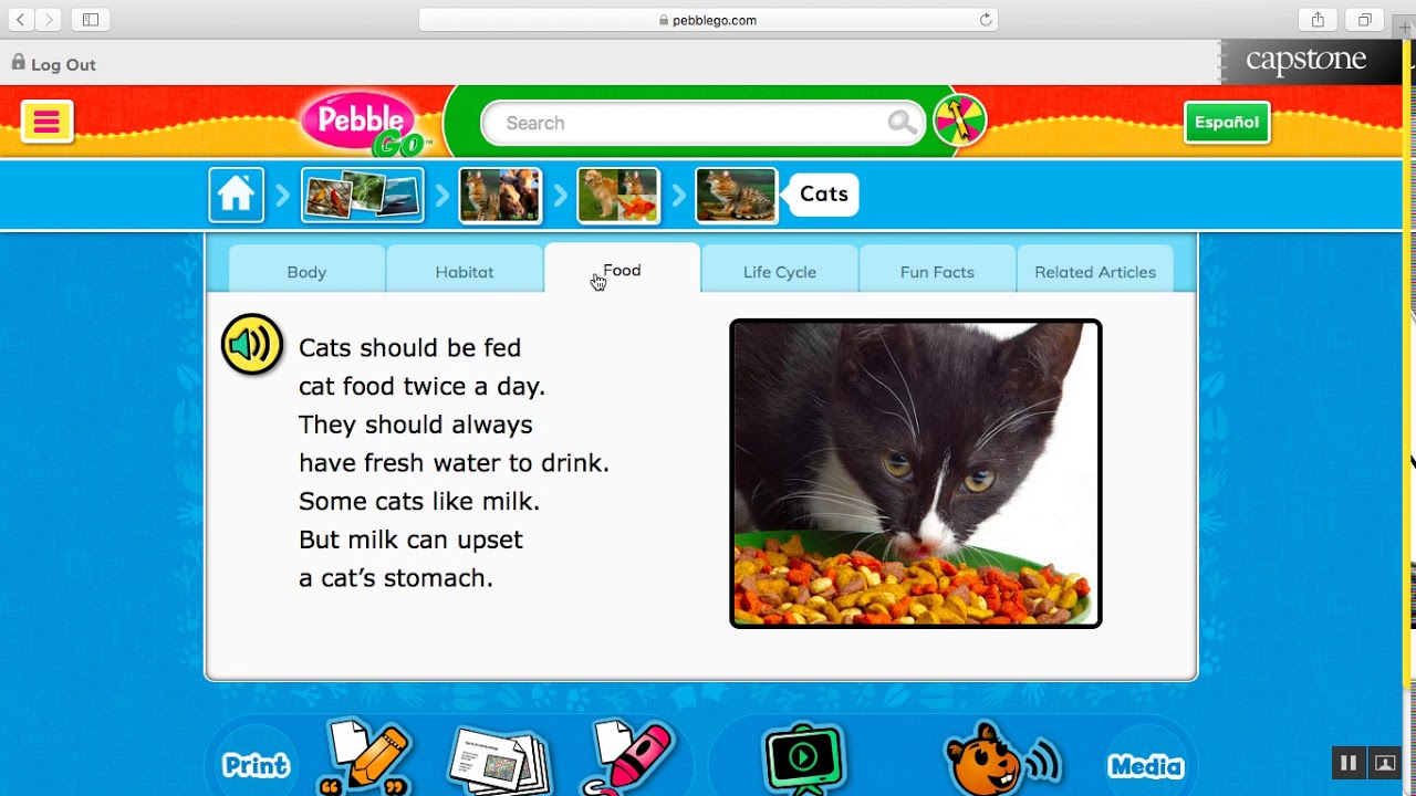 PebbleGo Tutorial - YouTube