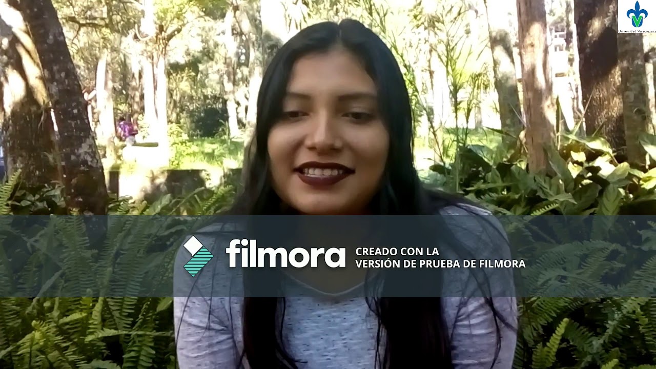 Beneficios Y Desventajas De Una CiudadanÍa Digital Youtube