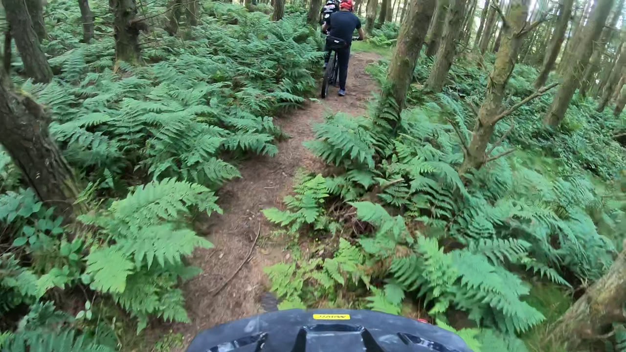 Poison Dwarf, IOM, Fergie 🤙🏻 - YouTube