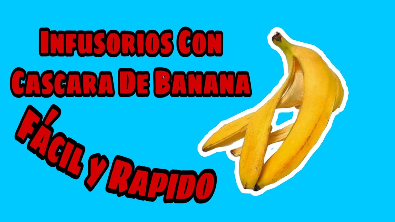 Como Hacer Infusorios Con Cascara De Banana || AcuarioCtes - YouTube