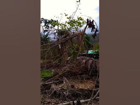 Тайфун він такий - YouTube