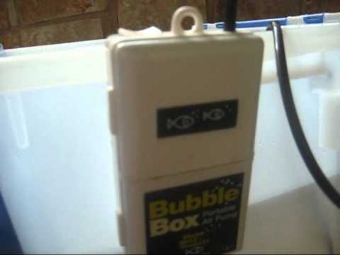 Homemade livewell - YouTube