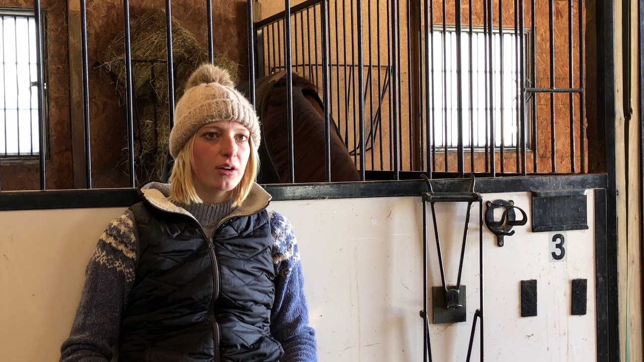 Barn Management Documentary - YouTube