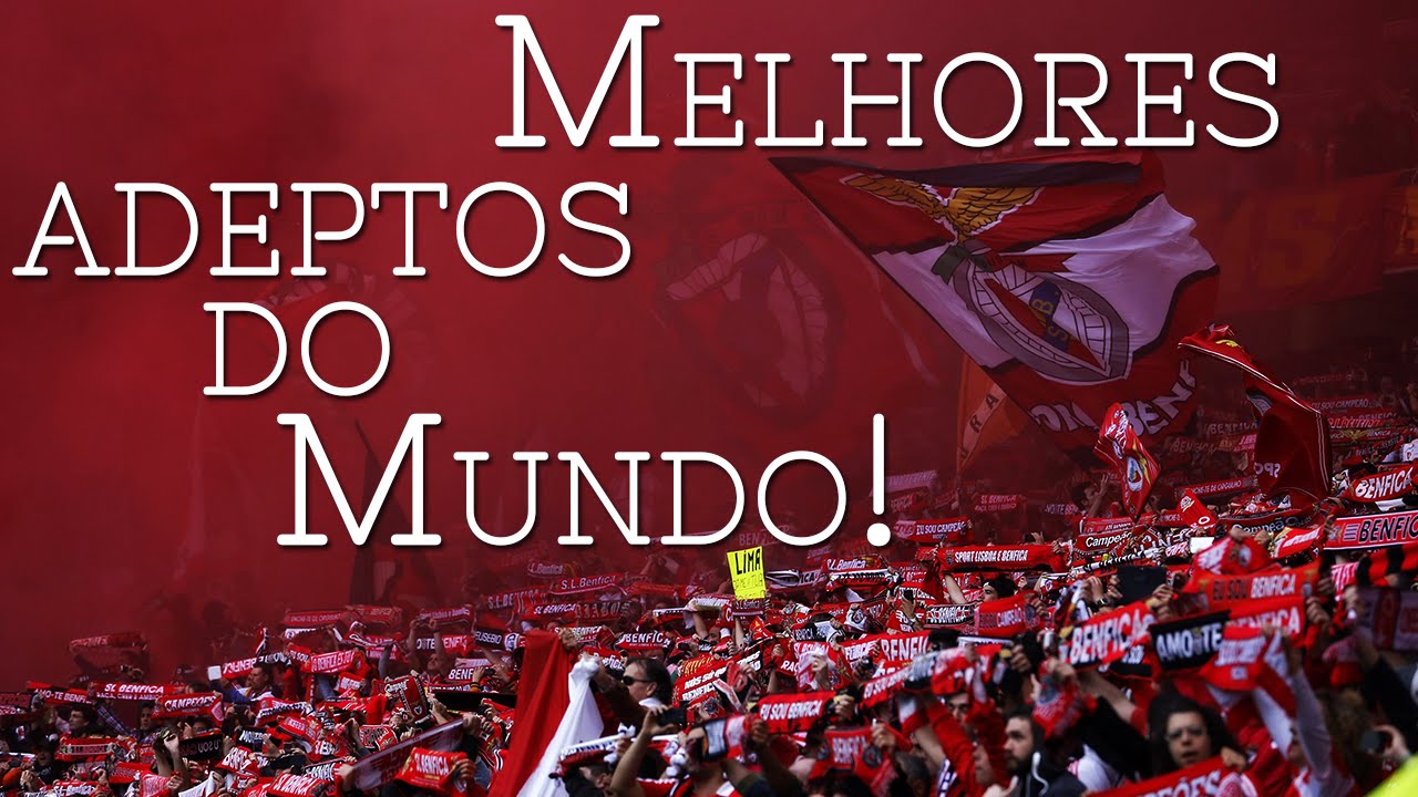 É por isto que somos os MELHORES adeptos do Mundo! - YouTube