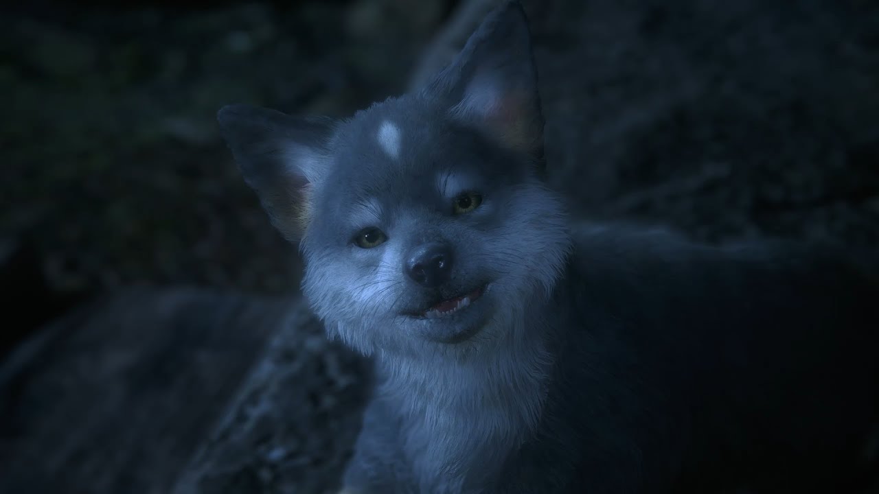 Clive Remembers Puppy Torgal (More Than Words Side-Quest) | Final ...