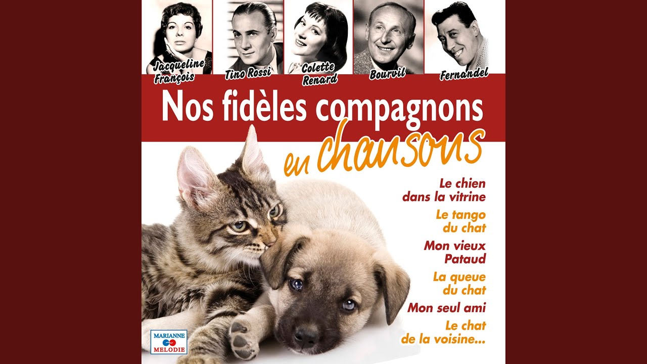 Le chien qui jappe - YouTube