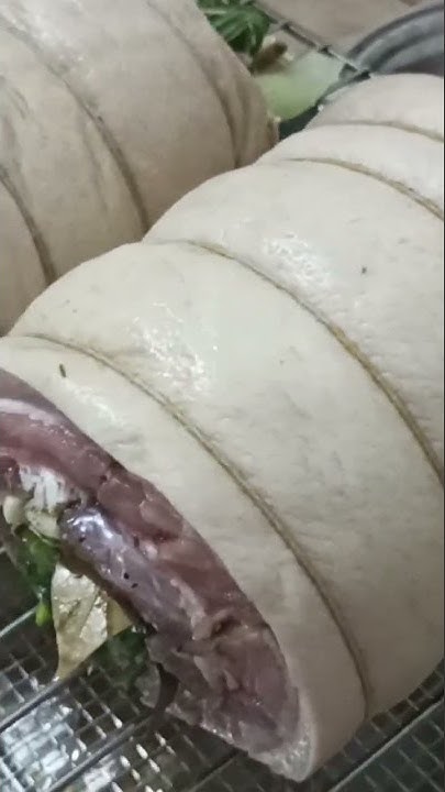 Belly Roll Youtube