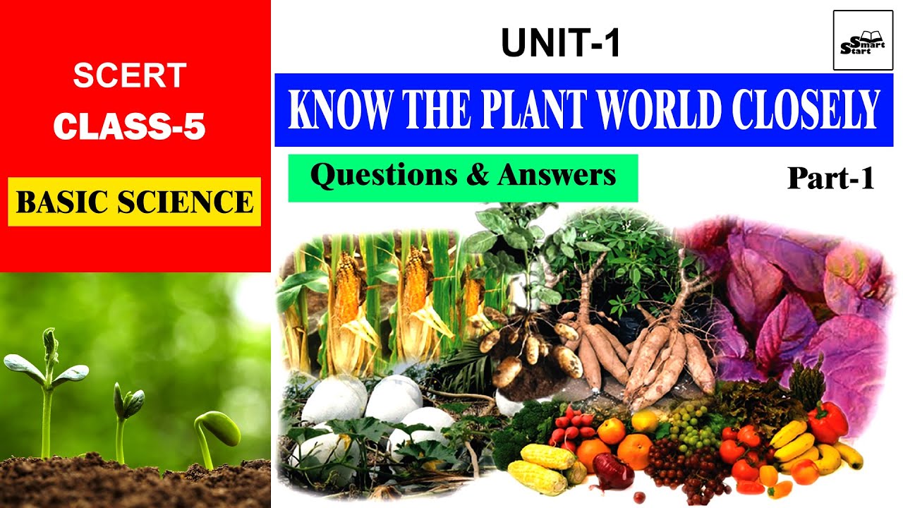 SCERT CLASS 5 BASIC SCIENCE LESSON 1 KNOW THE PLANT WORLD CLOSELY scert-class-5-basic-science-lesson-1-know-the-plant-world-closely