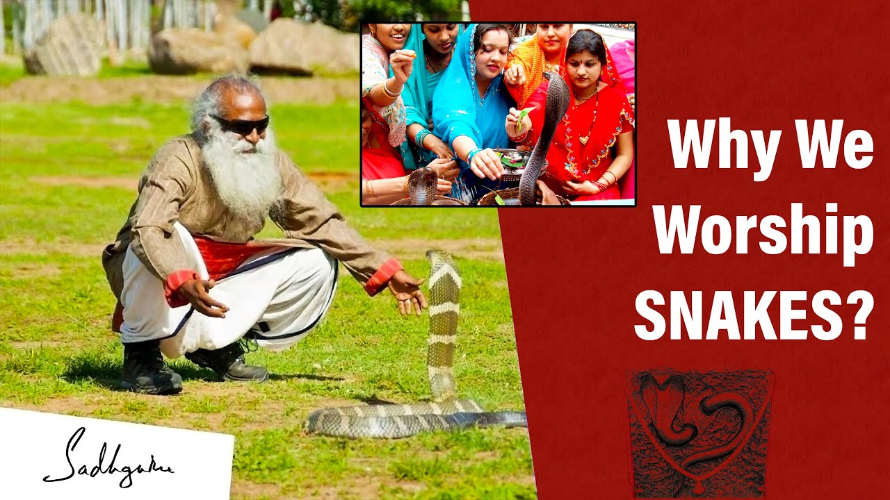 Why We Worship SNAKES? | Sadhguru Latest | Sadhguru - YouTube