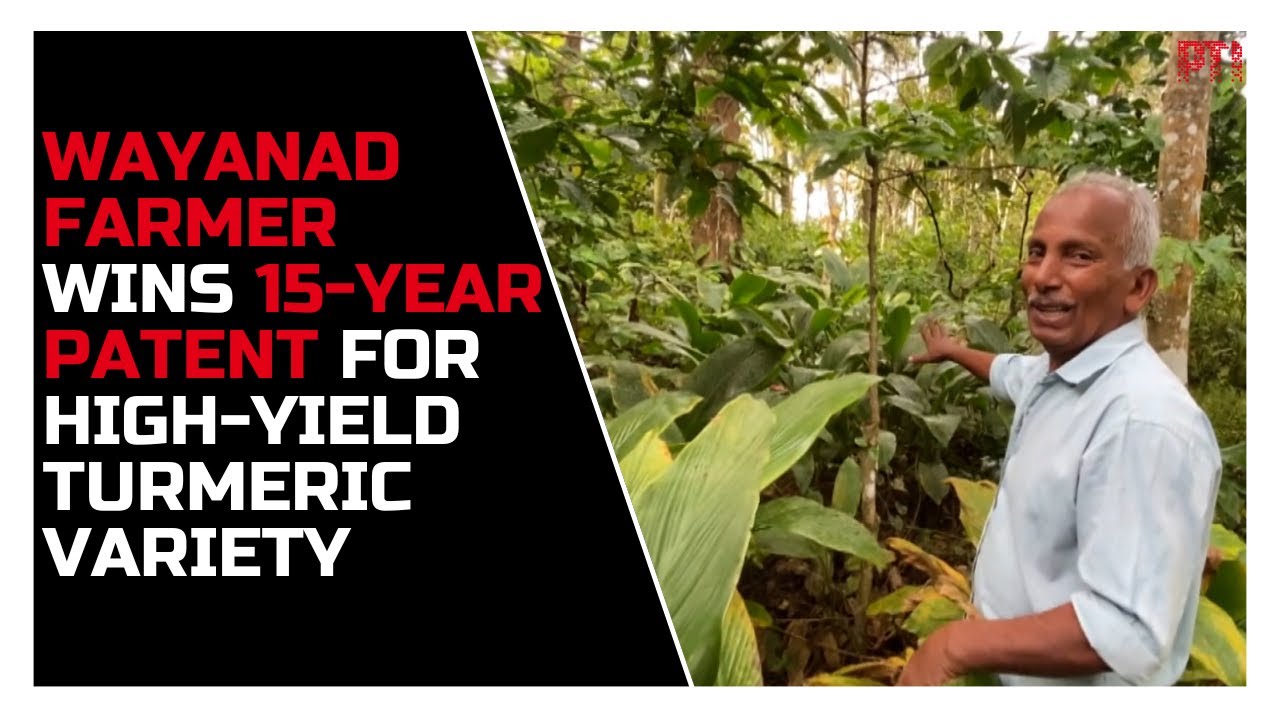 Wayanad farmer wins 15-year patent for high-yield turmeric variety ...