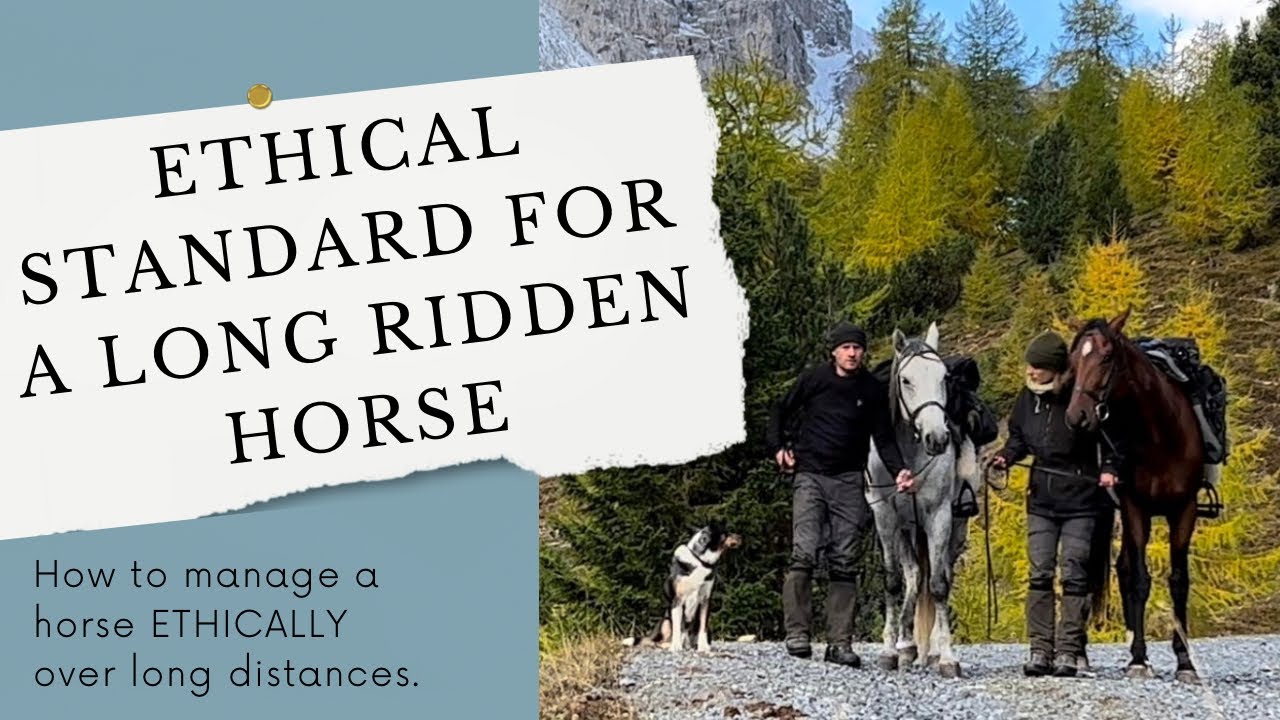 The ethical standard for a long ridden horse. - YouTube