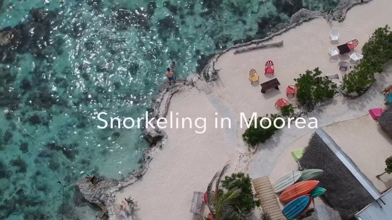 Drone Footage of Snorkeling in Moorea at the Lagoonarium. Shot on DJI ...