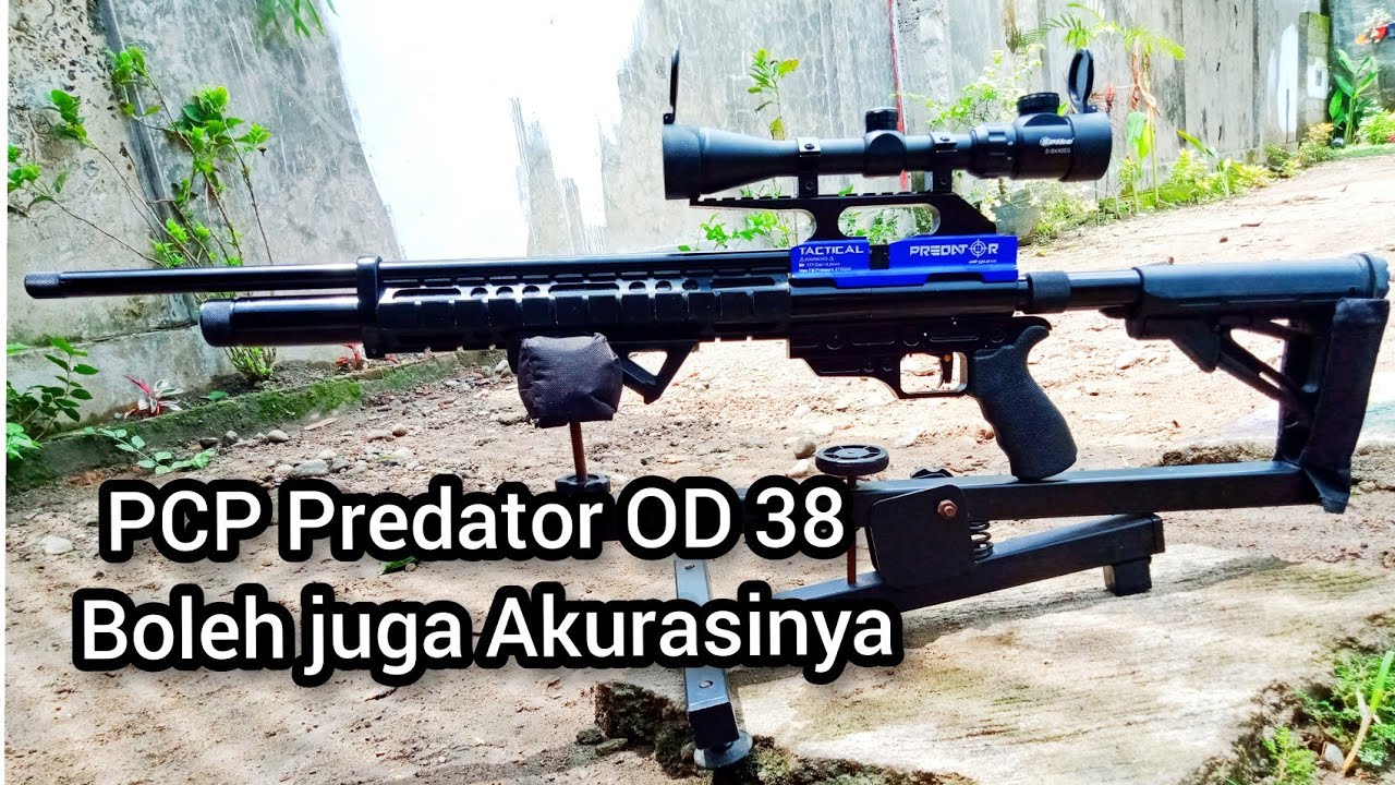 Ready PCP Predator Tactical od 38 akurasi istimewa - YouTube