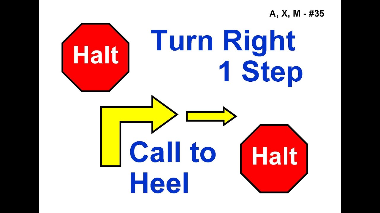 ANKC 2021 Rally Sign #35: Halt - Turn Right One Step - Call to Heel ...