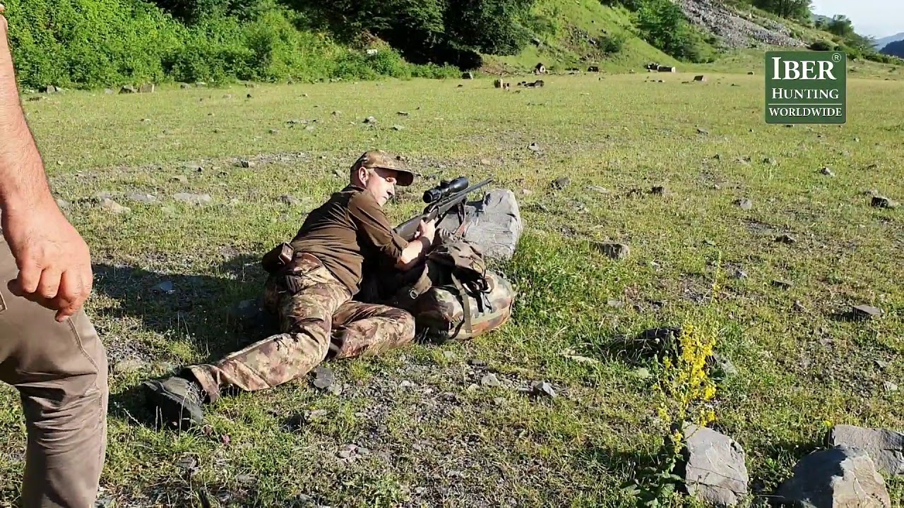 Hunting the tur in Azerbaijan - YouTube
