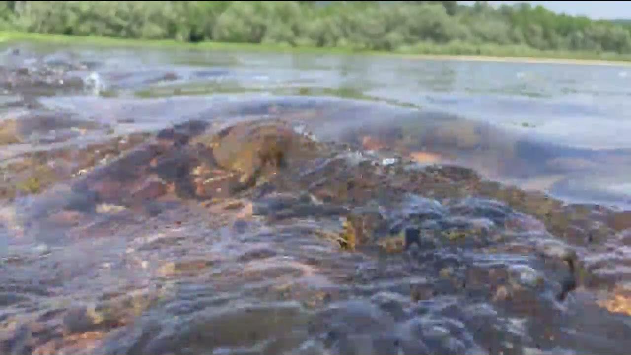 Звуки воды, медитация, река, горная река, речка, журчание реки - YouTube