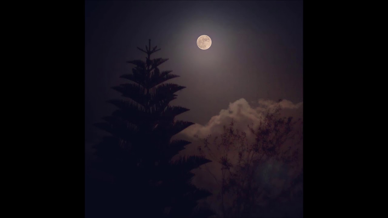 Bageshree | Alaap Jod Jhala | Suhas Mitra | Sarode - YouTube