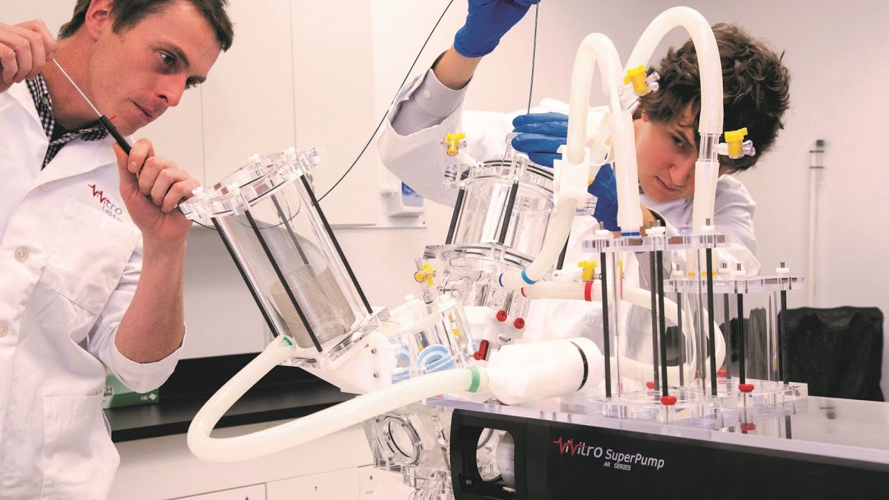 ViVitro Labs Company Overview - YouTube