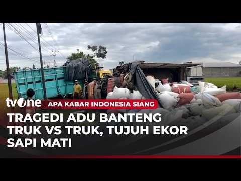 Truk Terpental ke Sungai 7 Ekor Sapi Mati di TKP | AKIS tvOne