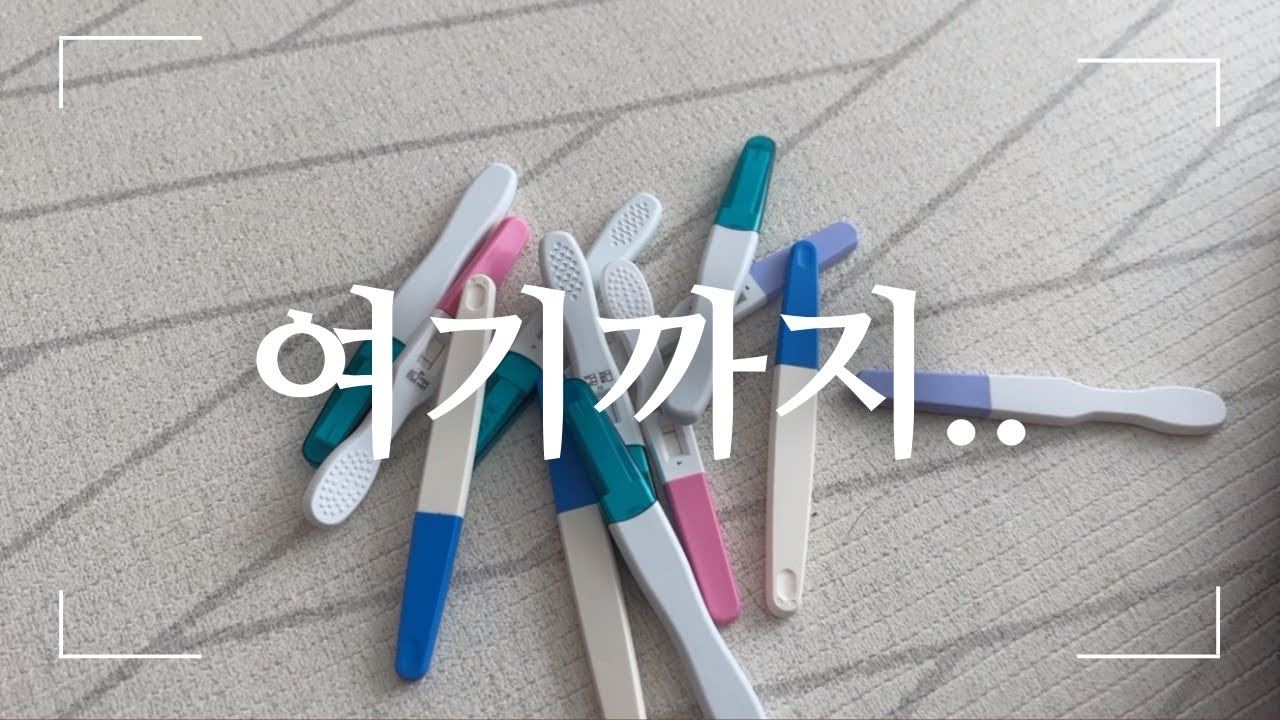 난임 브이로그 이렇게 끝이 났습니다 부정출혈일까착상혈일까 임테기 노예 자연임신 끝 시험관 시작