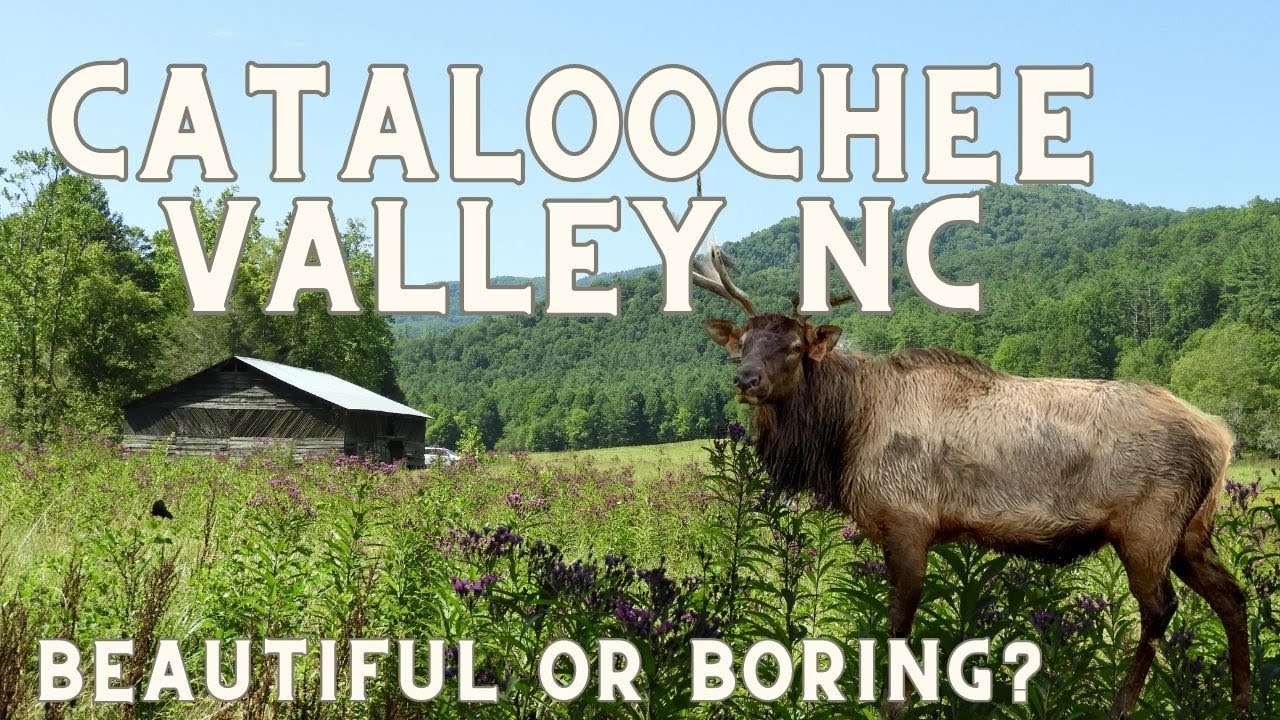Cataloochee Valley Summer 2023 Great Smoky Mountains National Park ...