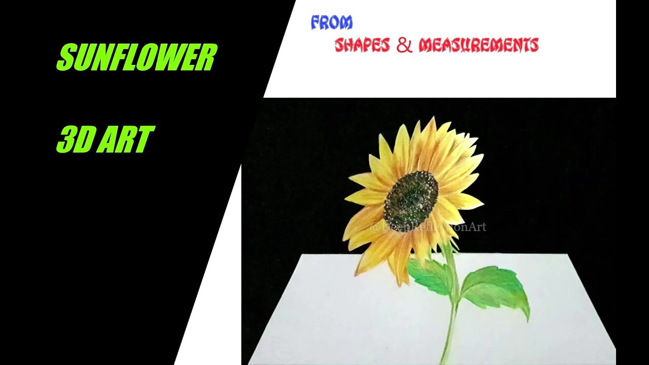 How to draw 3D SUNFLOWER / 3D ART/ TRICK ON PAPER / Pencil colors ...