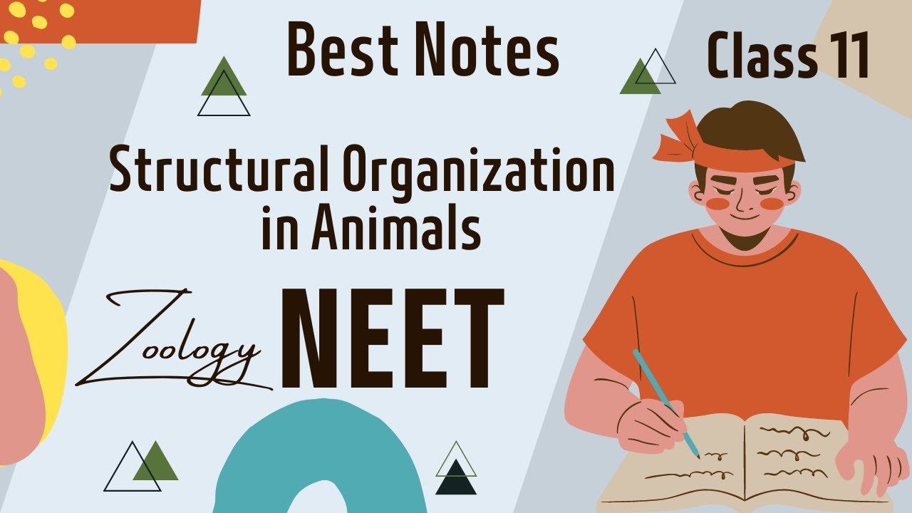 Structural Organization in Animals - Zoology / BEST NOTE for NEET class ...