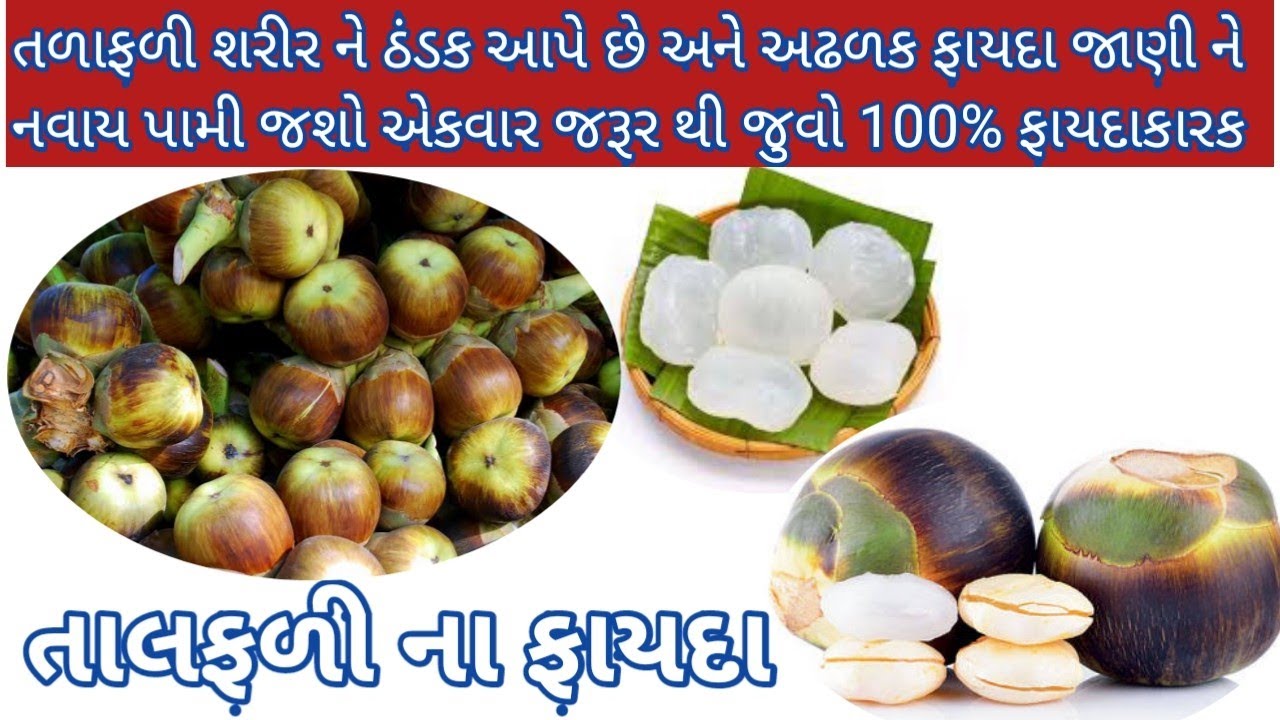 શરીર ને ઠંડક આપે એવી તાલફળી ના ફાયદા અને નુકસાન | Benifits of plam ...
