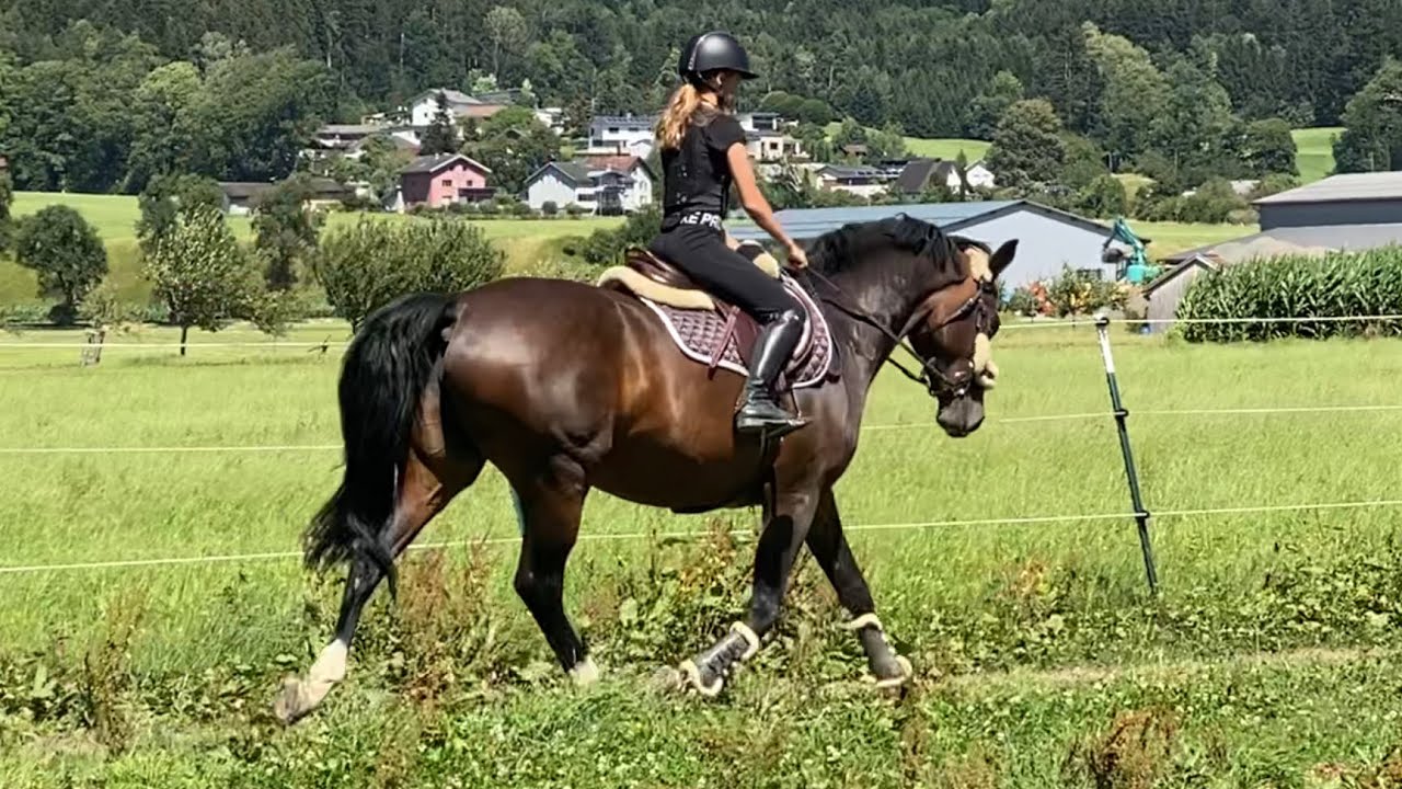 For Sale *** Coco Channel*** - Mataia Gohm - YouTube