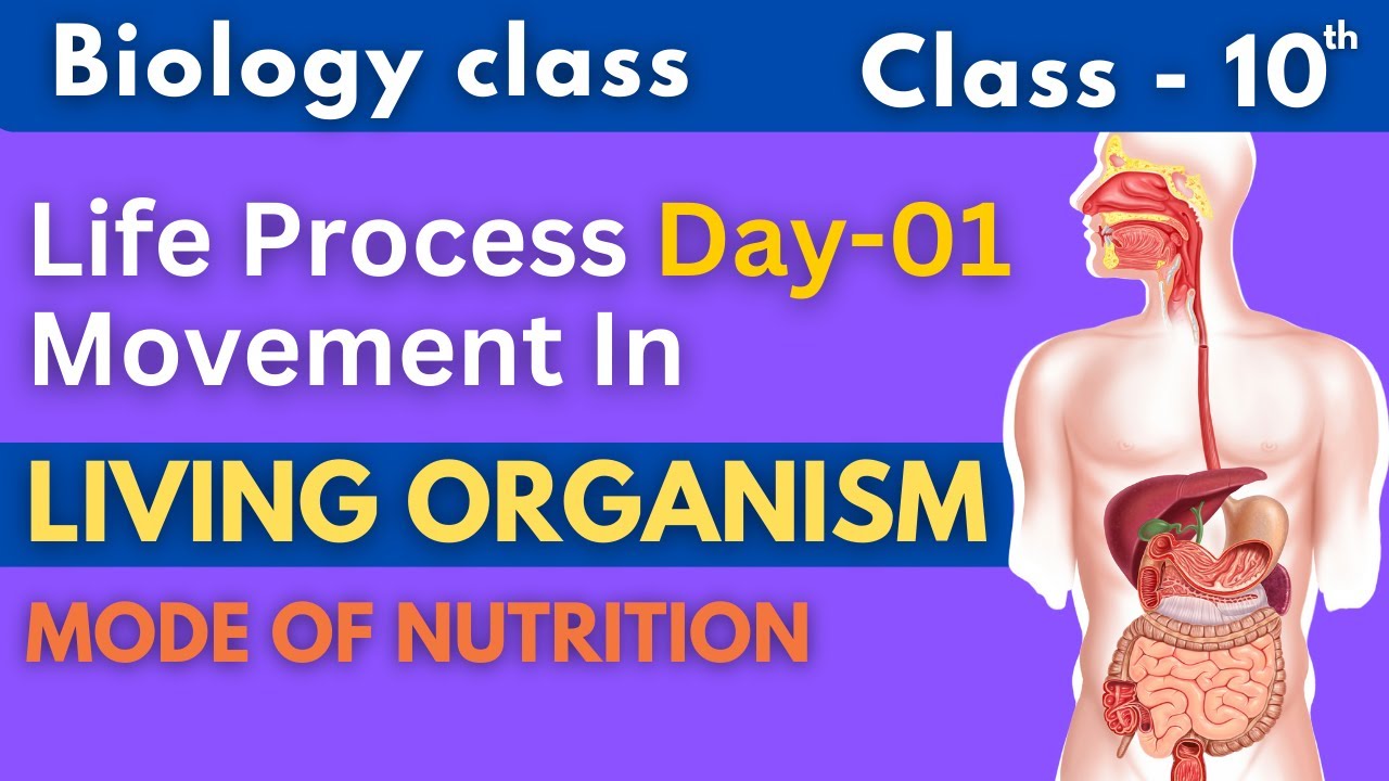 Biology Class 10th Life Process Day-1 Movement In LIVING Organism ...