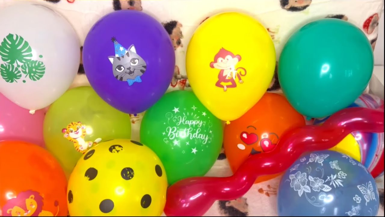 FUN POPPING LOTS OF BALLOONS ANIMALS EDITION! #balloon #pop #asmr #fun ...