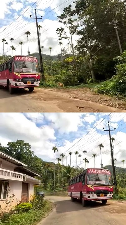 Kerala Spice Route 🍀🌴 High Range Drive ⚡🔥 Kerala Drive 💚🌿 Kerala Roads ⚡🔥 Vagamon - Kattappana ...