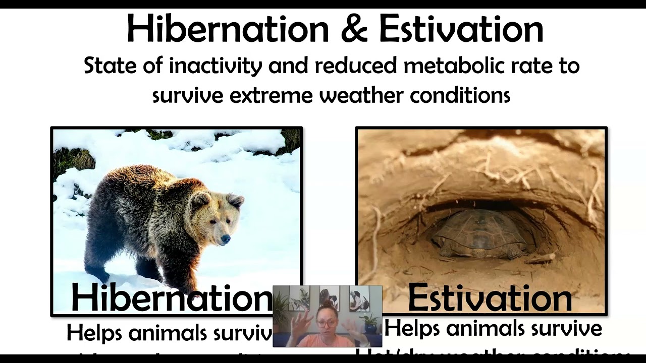 AP Bio Topic 8.1 Behavioral & Physiological Responses to the ...