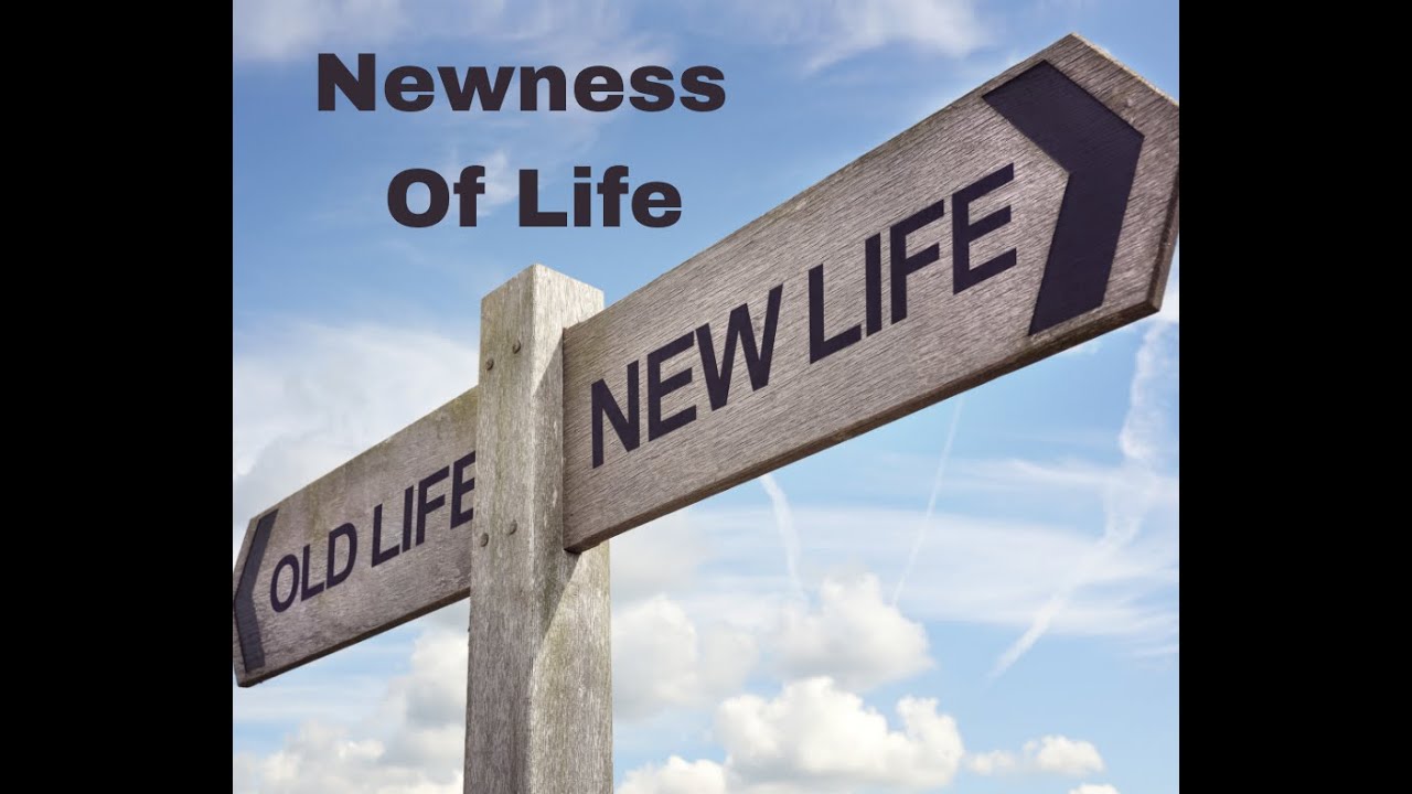 Newness of Life - YouTube