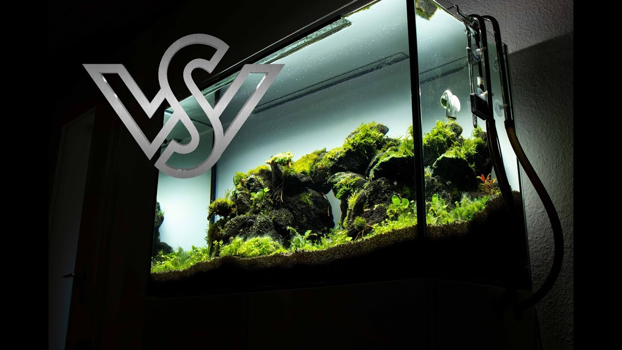 planted amazing aquascape / aquarium - YouTube