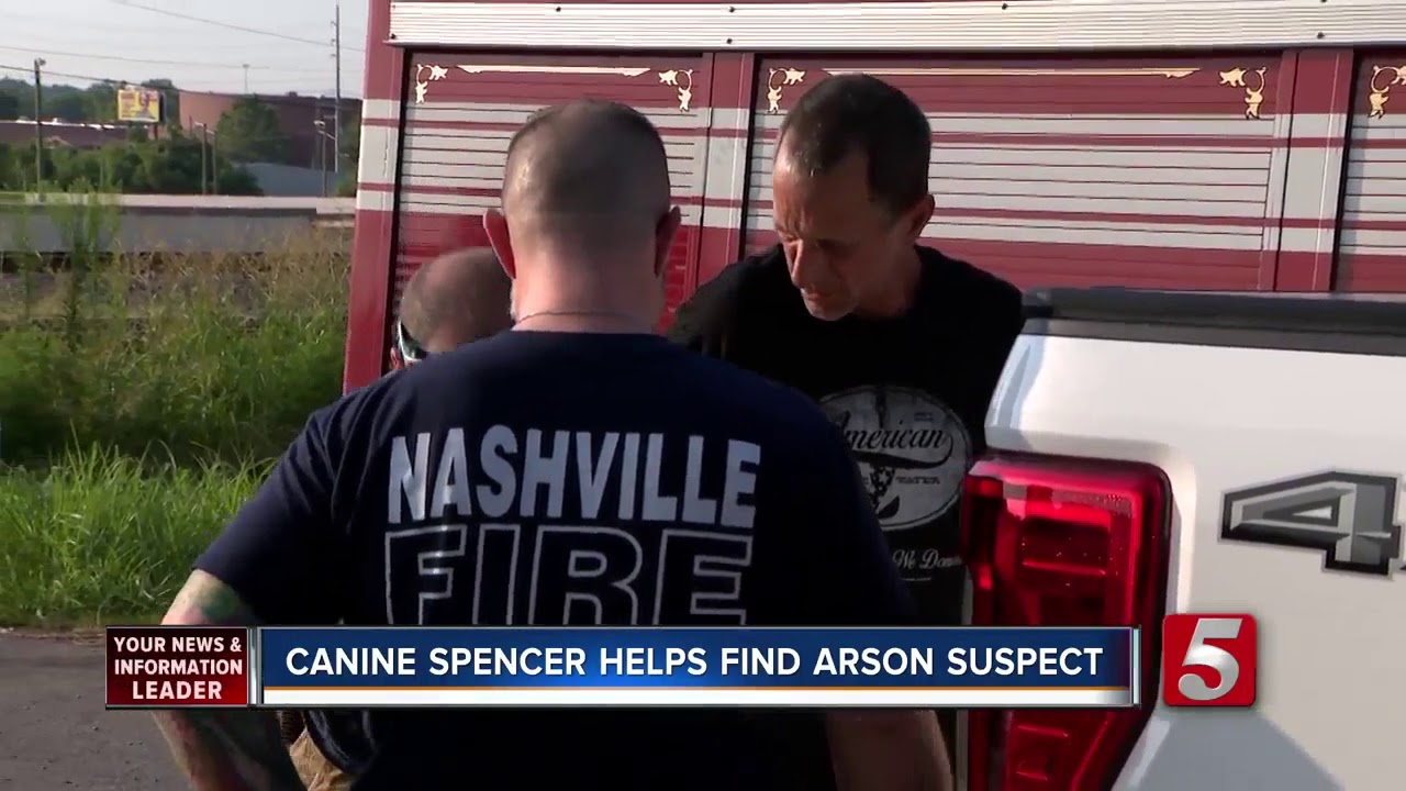 Arson Detection Dog Helps Sniff Out Arson Suspect - YouTube