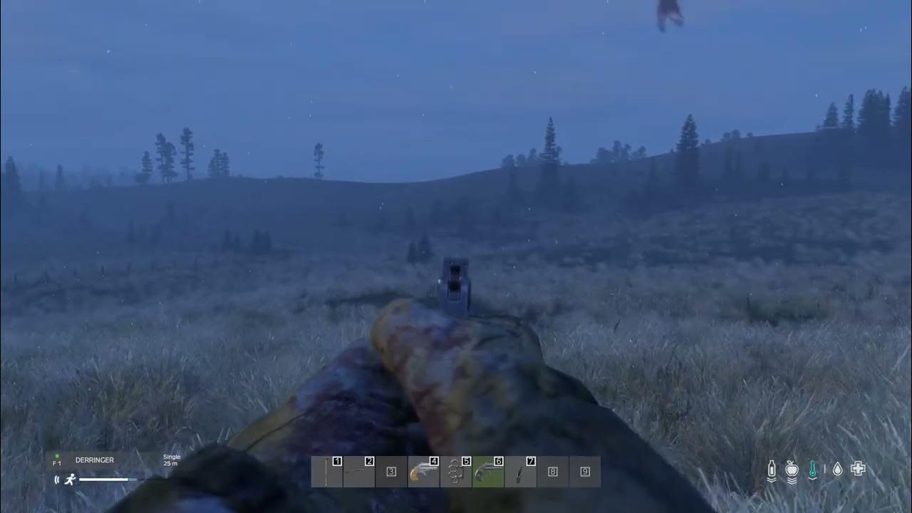 good ol Derringer - YouTube