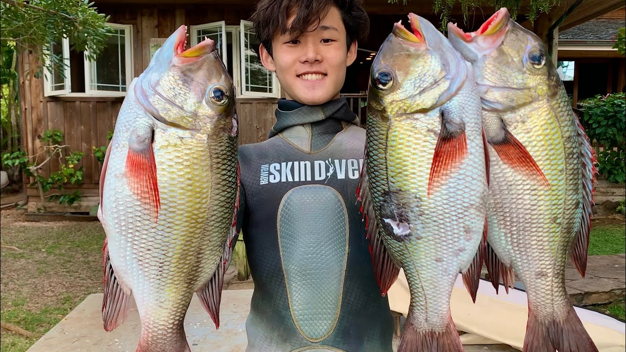 Mu MANIA! Hawaii Spearfishing For GIANT Mu | Ft. Luke Vaughn - YouTube