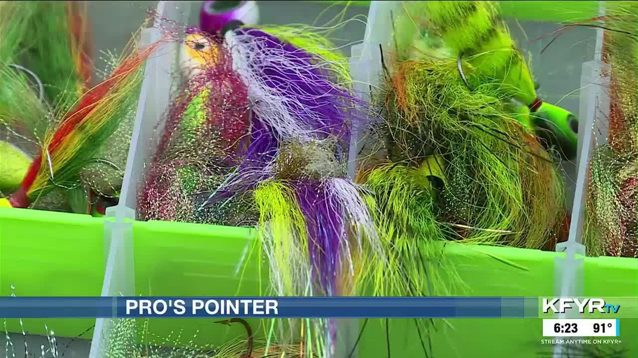 Pro’s Pointer #6 - hair jig - YouTube