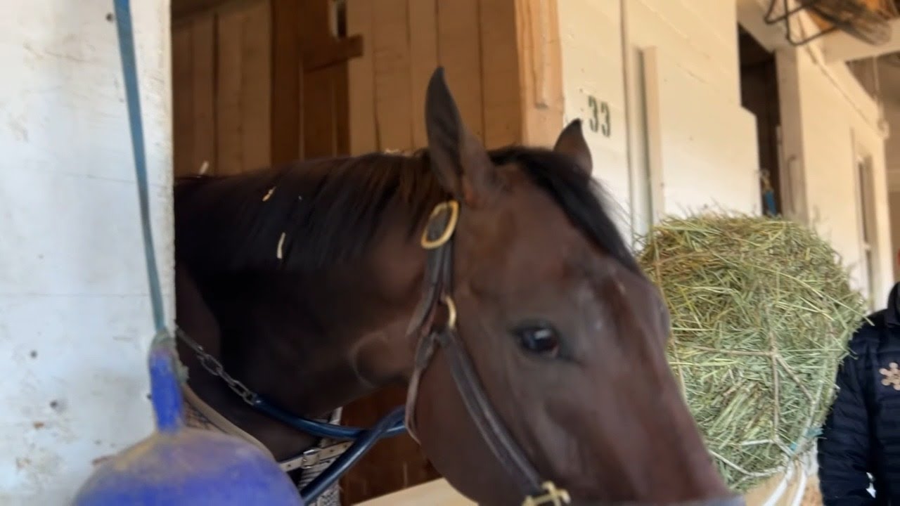 Whit Beckman on Honor Marie - YouTube