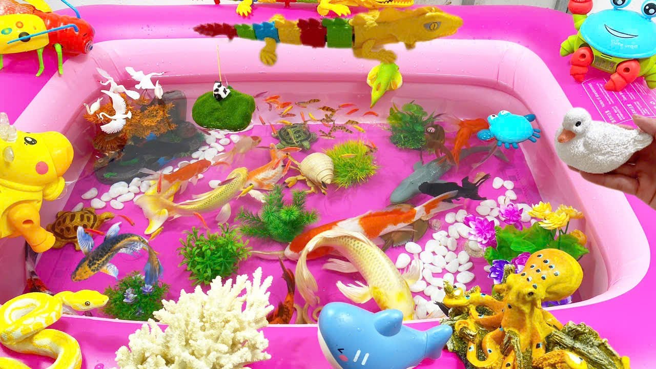 Amazing Put fish in the float,sharks,dolphins,sea creatures,Slipp vakre ...