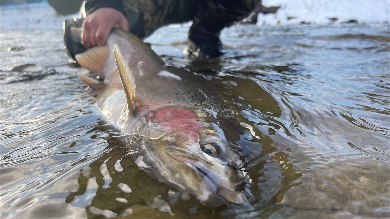 Float Fishing Steelhead - YouTube