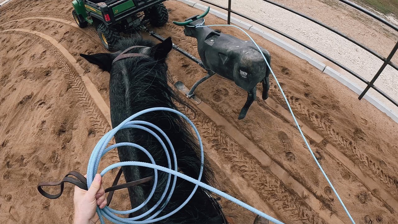 NEW Ropes & Roping the Smarty Sled - YouTube