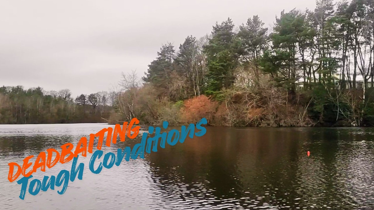 Dead Bait Strategies for Pike: Deep Water in Tough Conditions - YouTube