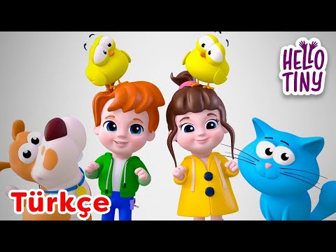 Yılın 12 Ayı Şarkısı | Bebekler için şarkılar | Hello Tiny Türkçe